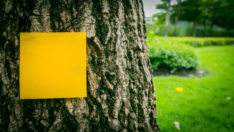 Orange Sticky Note on Tree with Graden Background. Stock Image - Image ...