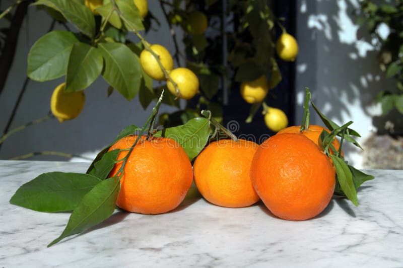 Orange, Still Life of Fruit with Sunlight Stock Image - Image of light ...