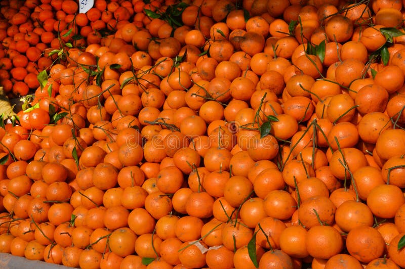 Asian Musami Orange Stock Photos - Free & Royalty-Free Stock Photos ...