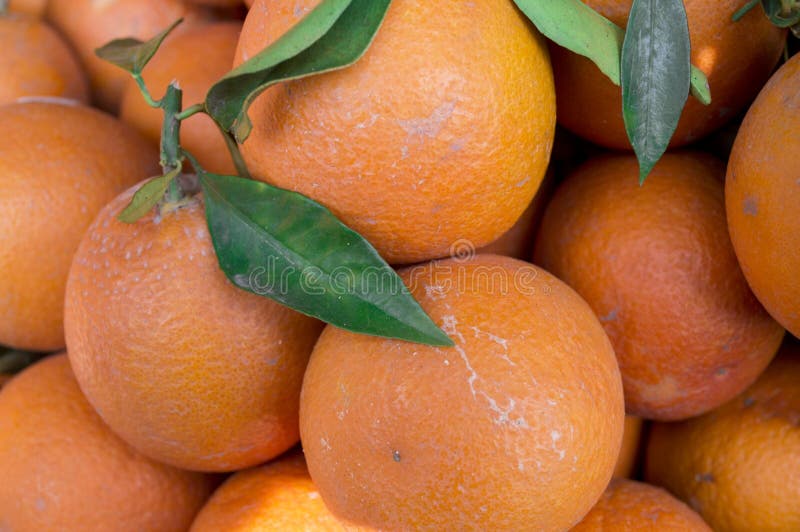 Orange stock stock photo. Image of farm, graphic, organic - 38230226