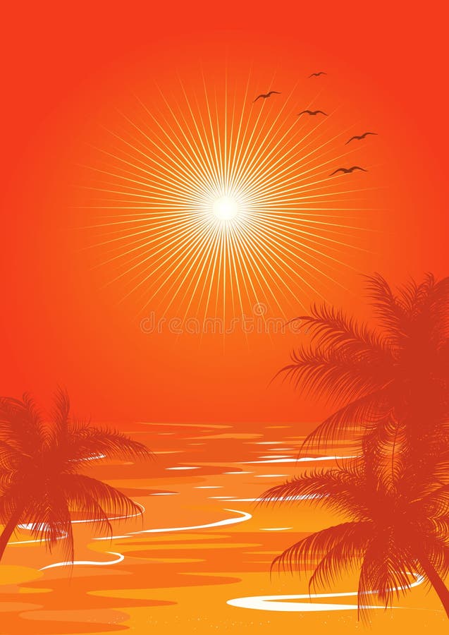 Orange summer stock image. Image of water, birds, orange - 31573785