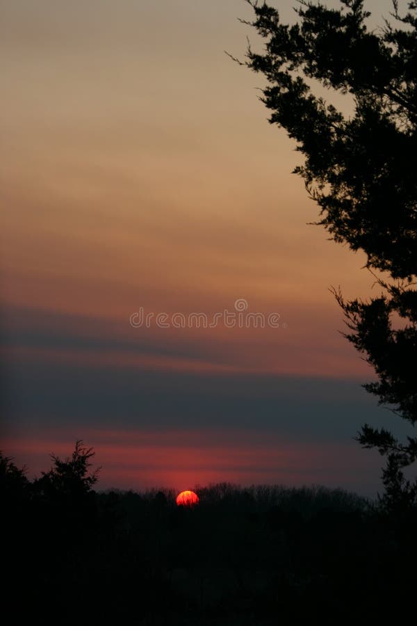 Orange Sun stock image. Image of black, forest, twilight - 98953