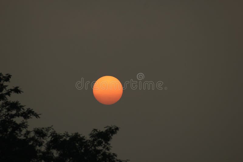 Orange Sun stock photo. Image of city, back, leaf, century - 46656650