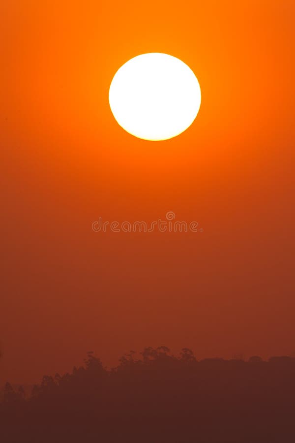 Orange Sun Trees stock image. Image of vertical, telephoto - 25361775