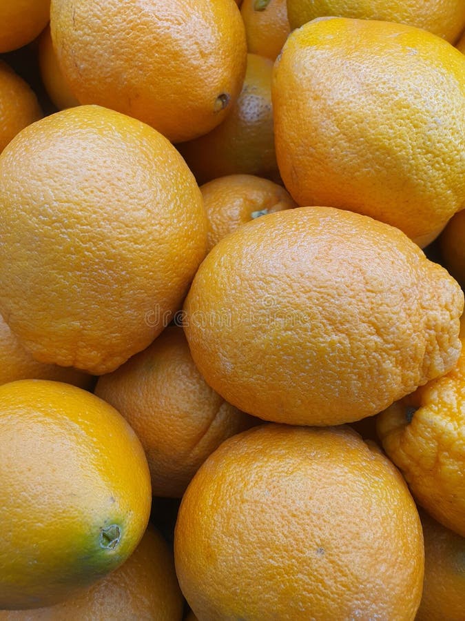 Orange sunkist stock photo. Image of fresh, sunkist - 322249252