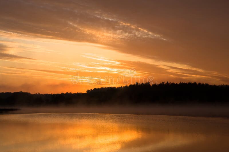 Orange sunrise stock photo. Image of grass, magenta, orange - 12388056