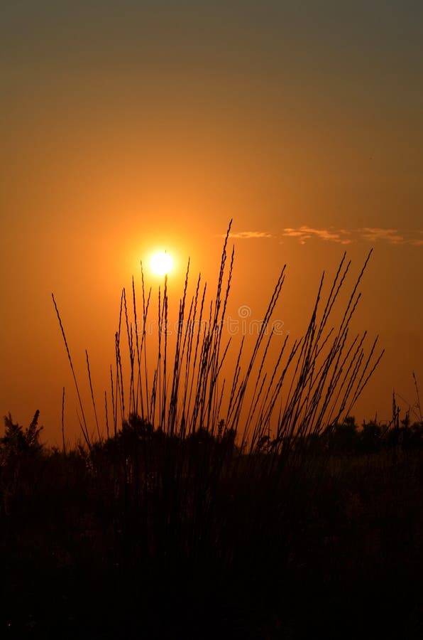 Orange sunset stock photo. Image of detail, orange, horizon - 58856068