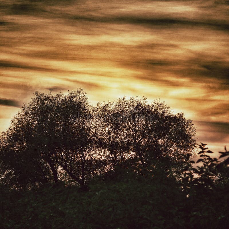Orange Sunset Landscape with Clouds and Trees Stock Image - Image of ...