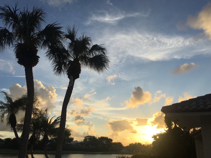 Orange Sunset and Palm Trees on an Island Stock Image - Image of ...