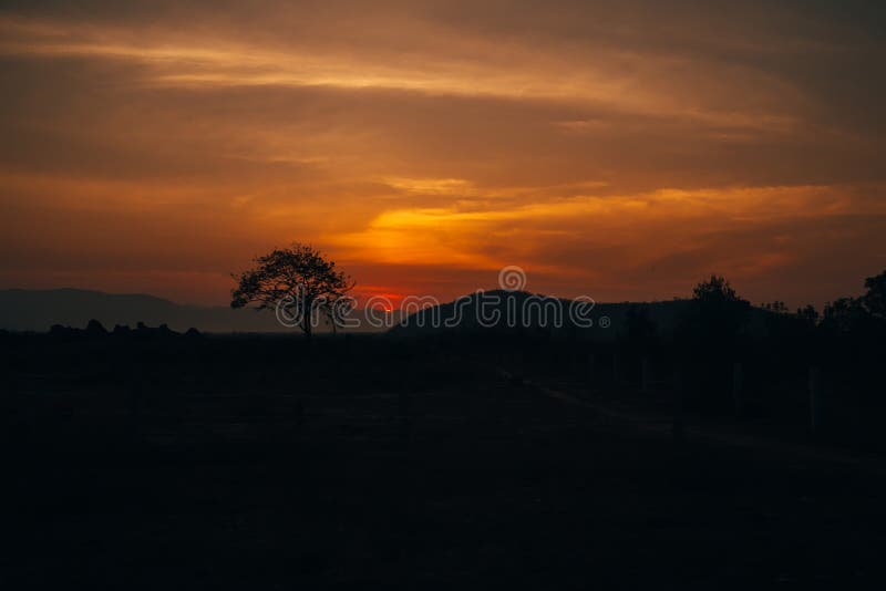 Orange Sunset with Tree and Mountain Stock Photo - Image of tropical ...