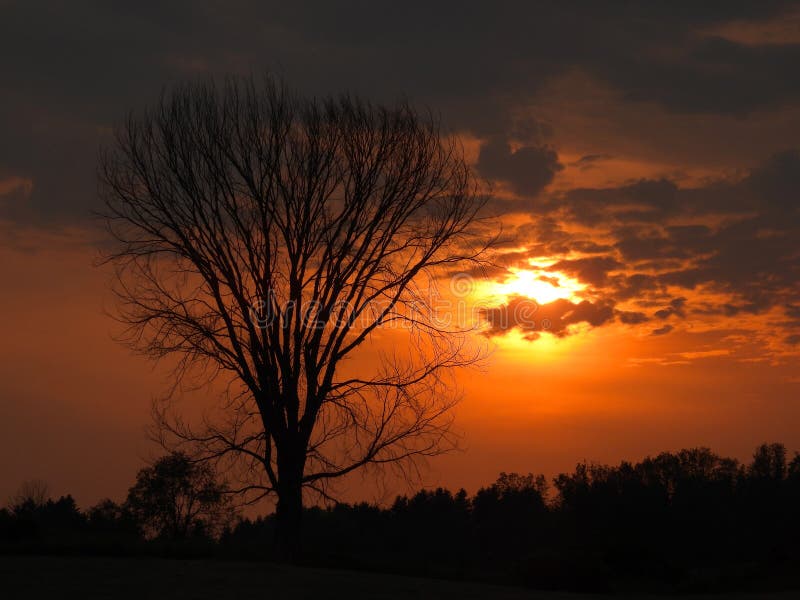Forest Fire in Canada Colors NYS Sunsets during Springtime Stock Image ...