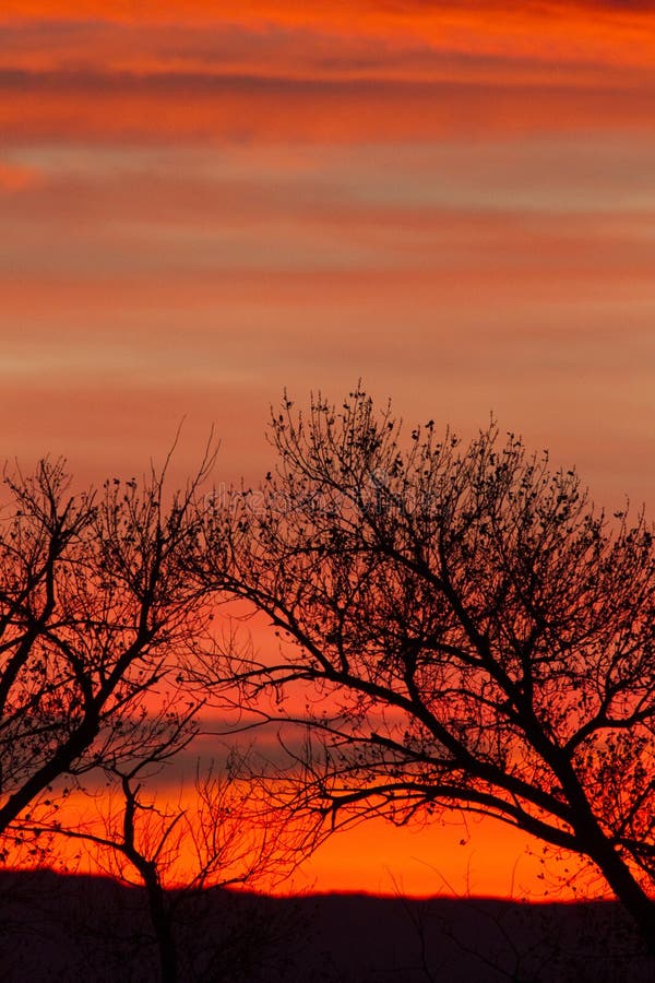 Colorful Clouds stock photo. Image of orange, colorful - 65106470