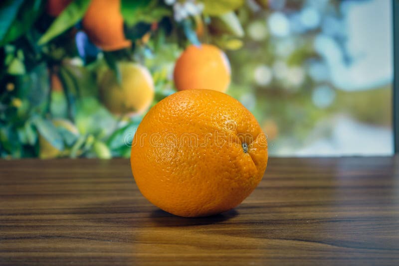 Orange on the Table in the Background of Fruit on the Tree Stock Image ...