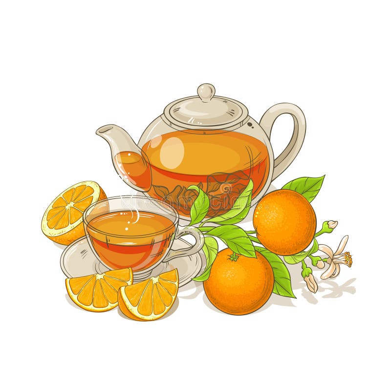 Orange tea illustration stock vector. Illustration of dessert - 120051470