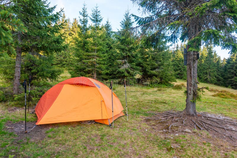 Orange Tent Camp in Green Forest Stock Image - Image of beautiful, pine ...
