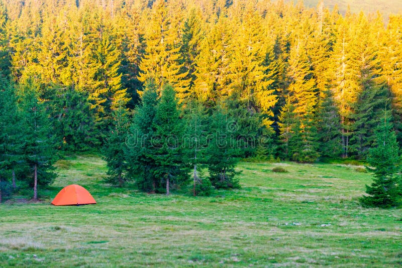 Orange Tent Camp in Green Forest Stock Image - Image of camping, orange ...