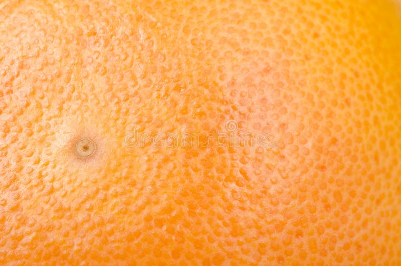 Orange Texture stock image. Image of citrus, background - 27974115
