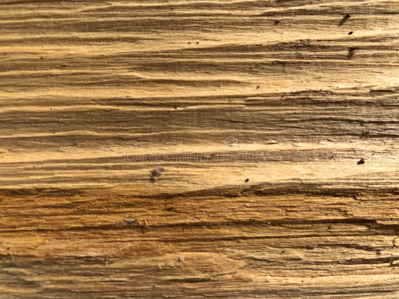 Orange Texture of a Striped Raw Presentation Board Stock Photo - Image ...