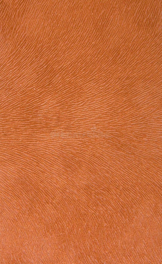 Orange textured background stock photo. Image of textures - 241877702