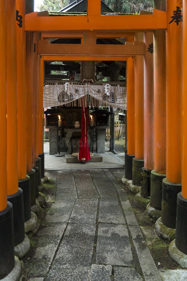 Orange Torii Gates at Fushimi Inari Editorial Stock Image - Image of ...