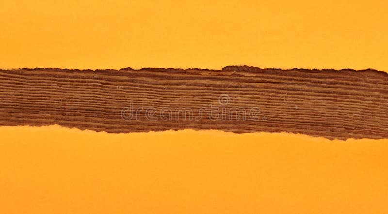 Orange Torn Paper Edge with Pattern Over Canvas Background Stock Image ...