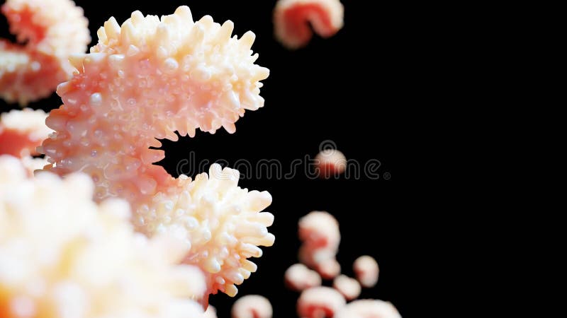 Orange Torovirus on Black Background Stock Illustration - Illustration ...