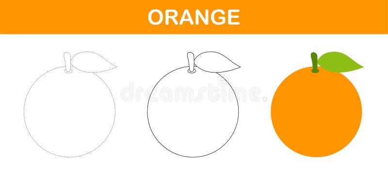 Orange Tracing and Coloring Worksheet for Kids Stock Vector ...