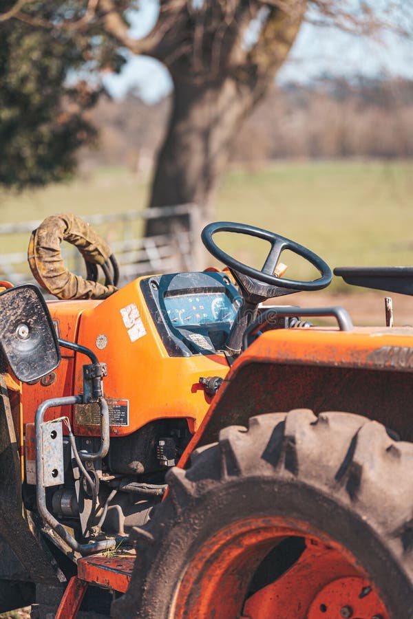 Orange Tractor in a Field Next To a Tree Editorial Photography - Image ...