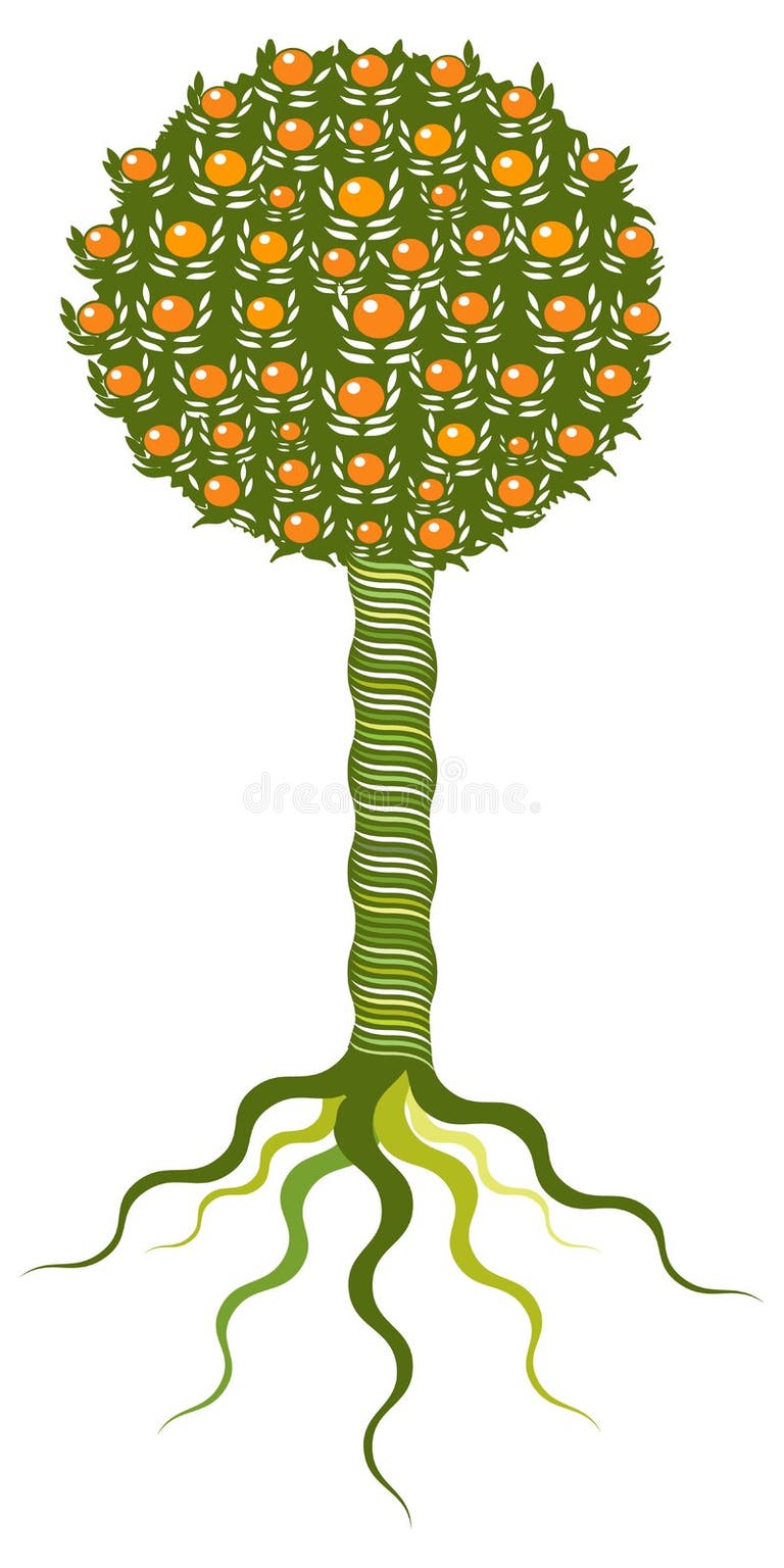 Mandarin Orange Tree Stock Illustrations – 4,651 Mandarin Orange Tree ...
