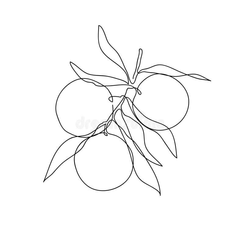 Orange Tree Line Drawing Stock Illustrations – 17,919 Orange Tree Line ...