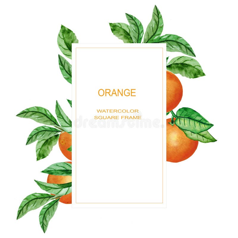 Orange Tree Branches Frame Template. Isolated Layout for Package Design ...