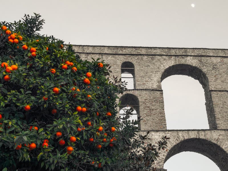Orange Tree in Front of Ancient Roman Aqueduct Stock Image - Image of ...