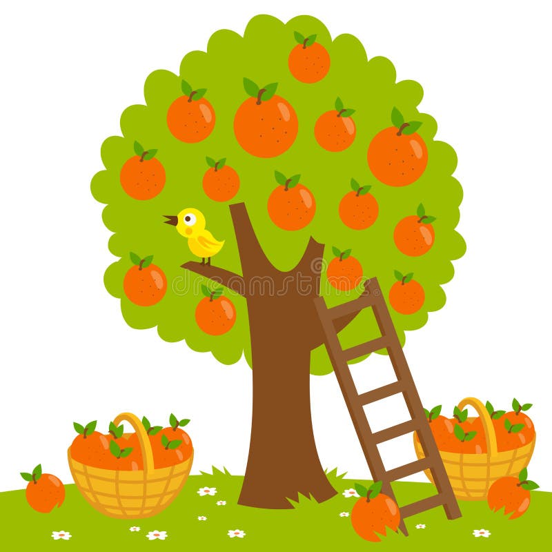Cartoon Orange Tree