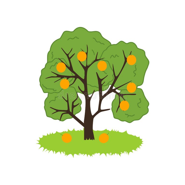 Orange Tree Icon stock vector. Illustration of nature - 83959756