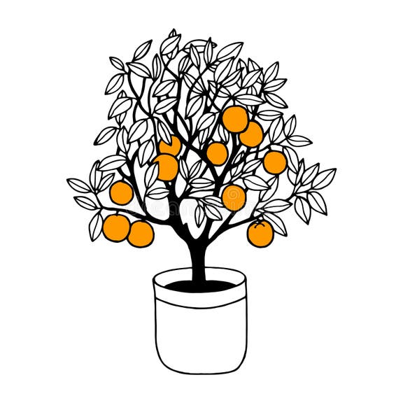Orange Tree. Vector Stock Illustration Eps10. Isolate on White ...