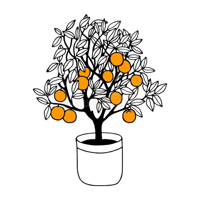 Orange Tree. Vector Stock Illustration Eps10. Isolate on White ...