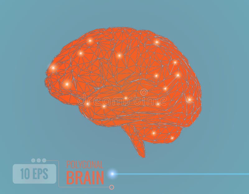 3D Wireframe Brain Illustration on Dark Blue Graphic Layout Stock ...