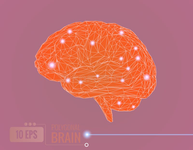 3D Wireframe Brain Illustration on Dark Blue Graphic Layout Stock ...