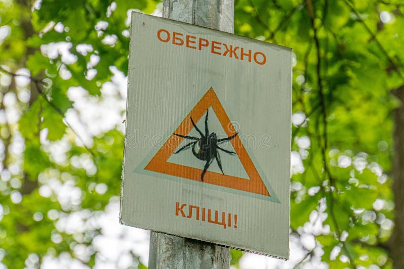 Orange Triangular Warning Sign with Beewasp Illustration in a Park or ...