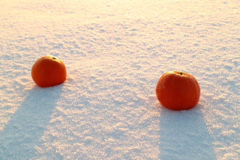 Orange Orange Tropical Fruit on Icy Snow Two Pieces, Shiny Fresh Snow ...