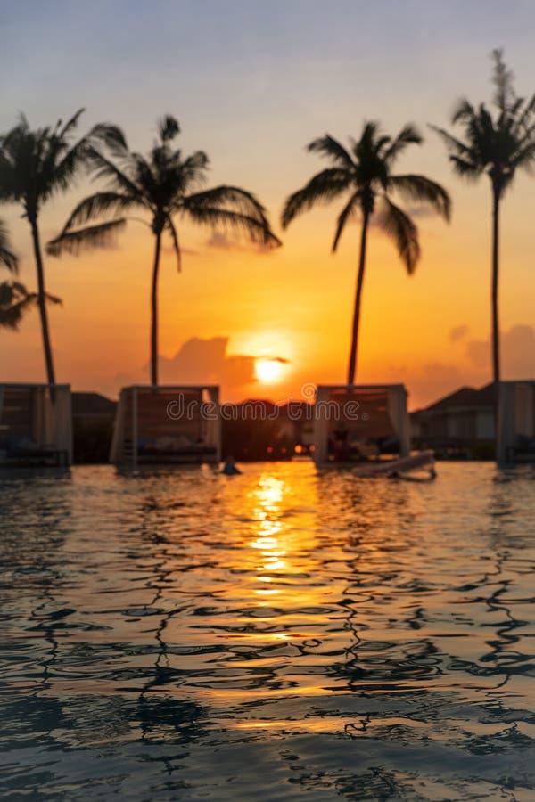 Orange Tropical Sunset with Swimming Pool Water Reflection and Palm ...