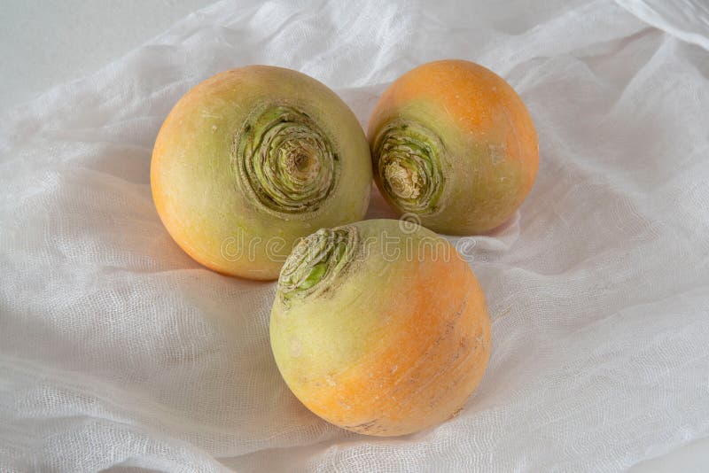 Close-up orange turnips stock photo. Image of nature - 356363788