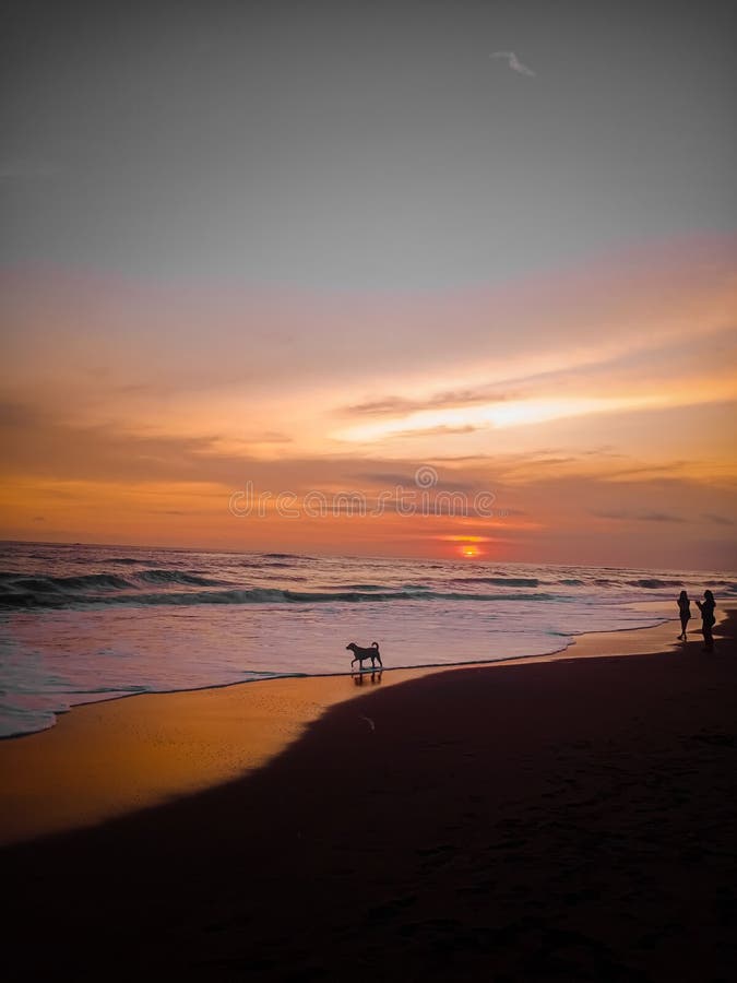 Orange Twilight and a Tiny Dog. What a Beautiful Creation of God Stock ...