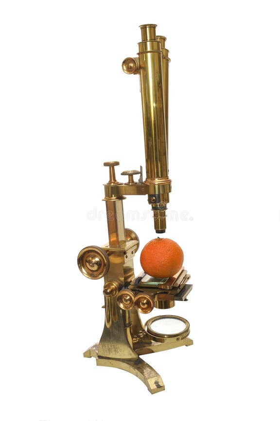 Orange under microscope stock photo. Image of brass, adjustable - 8421844