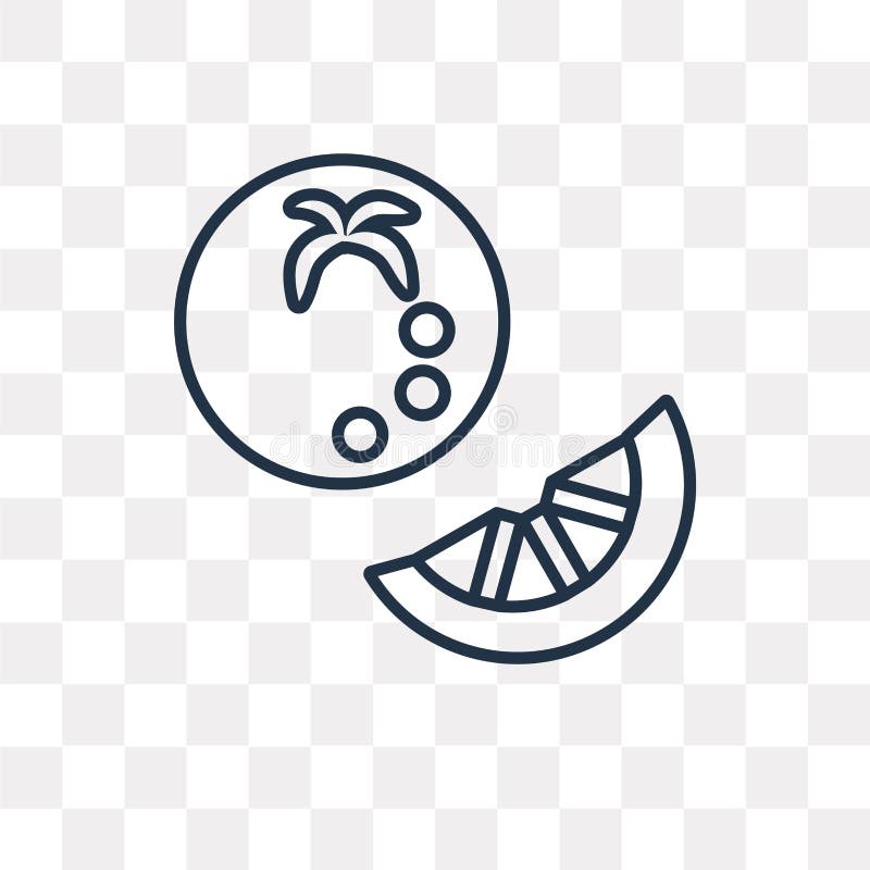 Orange Vector Icon Isolated on Transparent Background, Linear or Stock ...