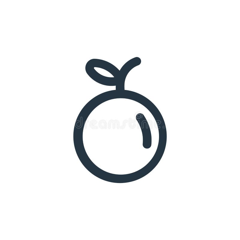 Orange Vector Icon Isolated on White Background. Outline, Thin Line ...