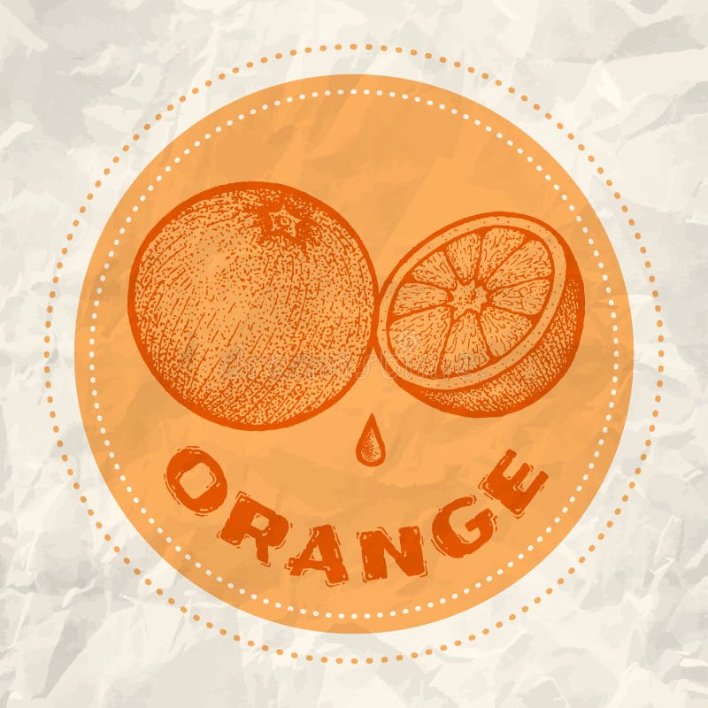 Orange stock vector. Illustration of crease, fresh, engraving - 56938049