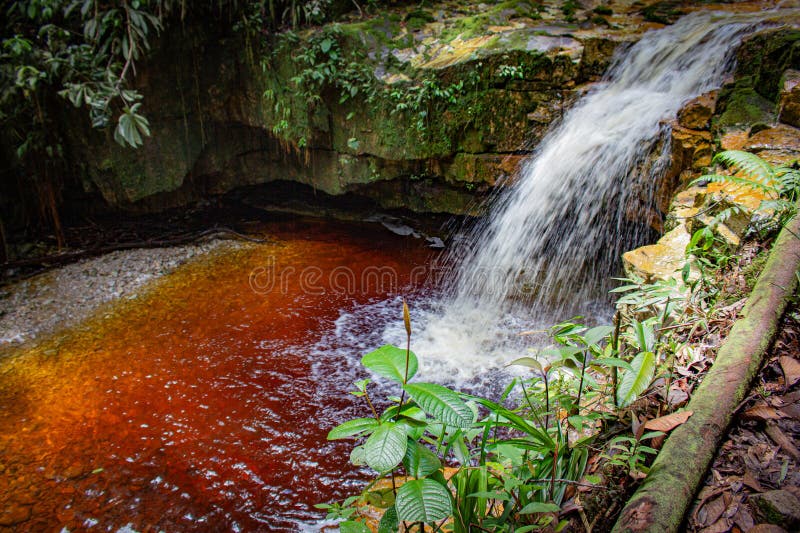 Orange Waterfall with Deep Pool in a Forest Stock Image - Image of ...