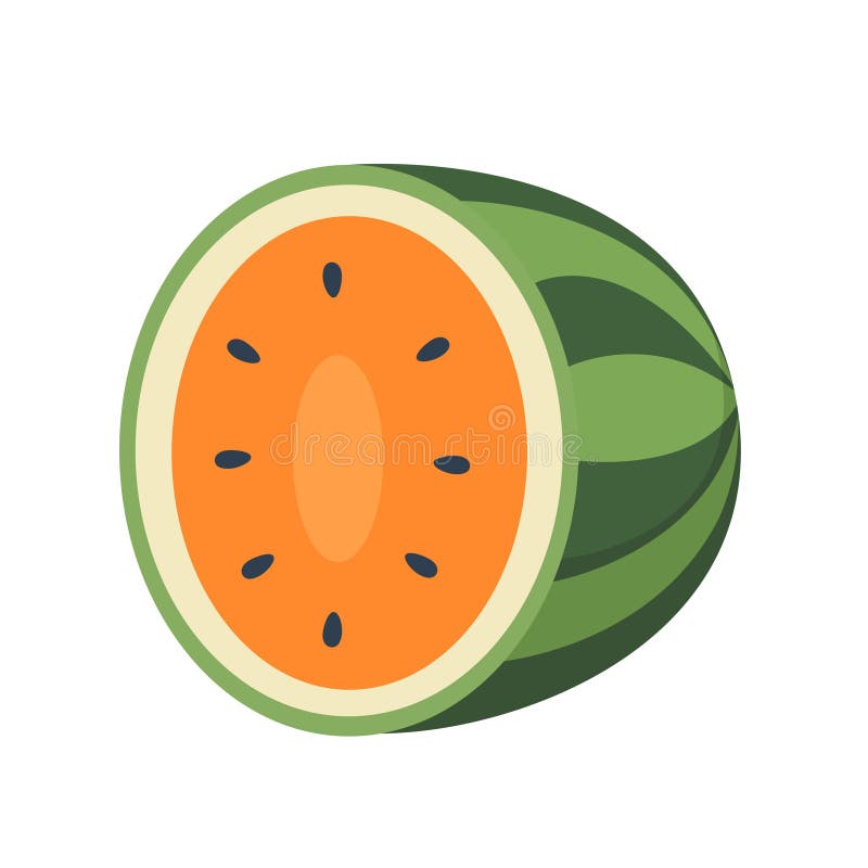Orange Watermelon Vector Illustration, Half Slice Water Melon Fruit ...