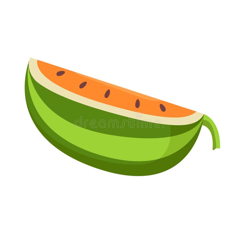 Orange Watermelon Vector Illustration, Slice of Water Melon Fruit Image ...
